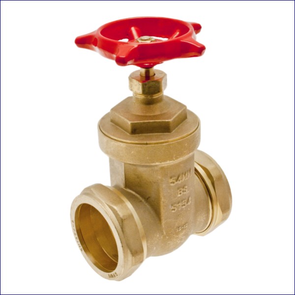 62EP302254 | EP GATE VALVE BS5154 DZR 54mm - S10 Supplies